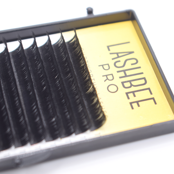 B Curl Lashes - LashBeePro