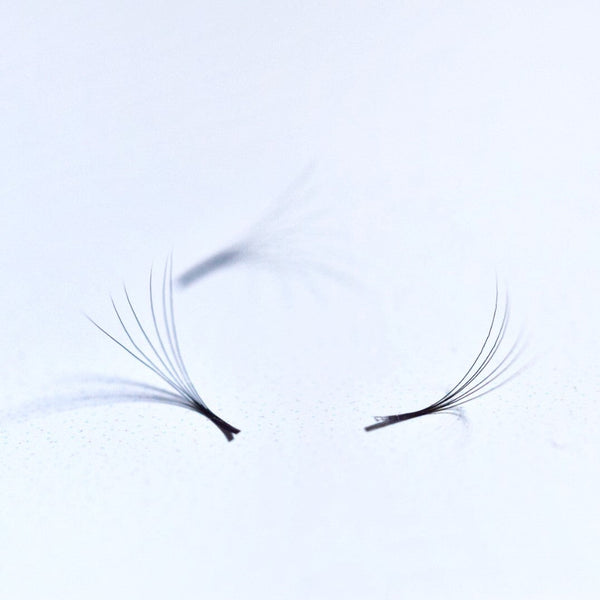 Mixed-Length 6D Pre-Made Fans L+ Curl - LashBeePro